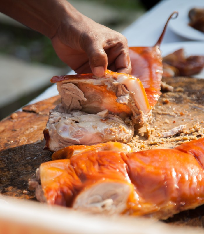 In Celebration of Lechon - IFEXConnect