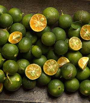 The Come-on of Calamansi - IFEXConnect